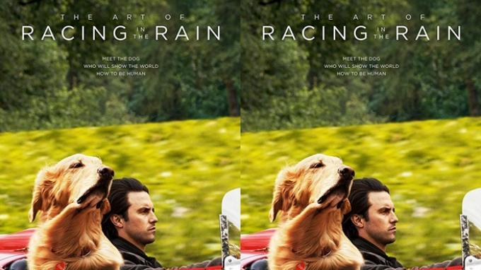 FILM: The Art of Racing in The Rain (2019) - TribunnewsWiki.com