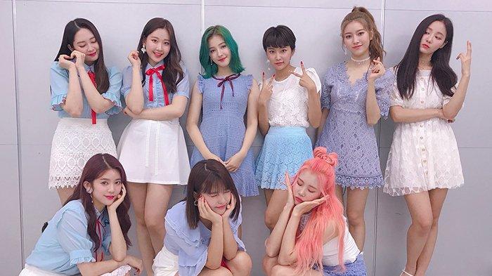 Momoland - TribunnewsWiki.com
