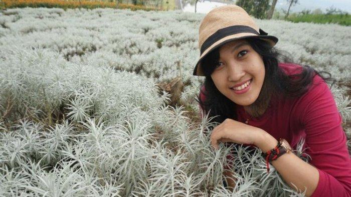 Padang Bunga Kasna - TribunnewsWiki.com