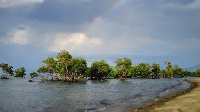Pantai Atapupu - TribunnewsWiki.com