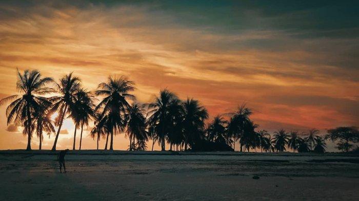 Pantai Oeseli - TribunnewsWiki.com