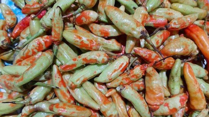 Petani di Banyumas Nekat Warnai Cabai Rawit Hijau Jadi Merah, Cat Tak ...