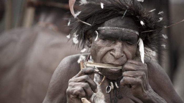 Pikon - TribunnewsWiki.com