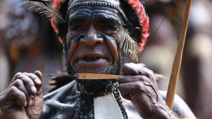 Pikon - TribunnewsWiki.com