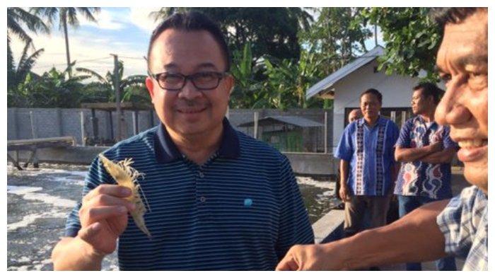 Rhenald Kasali - TribunnewsWiki.com