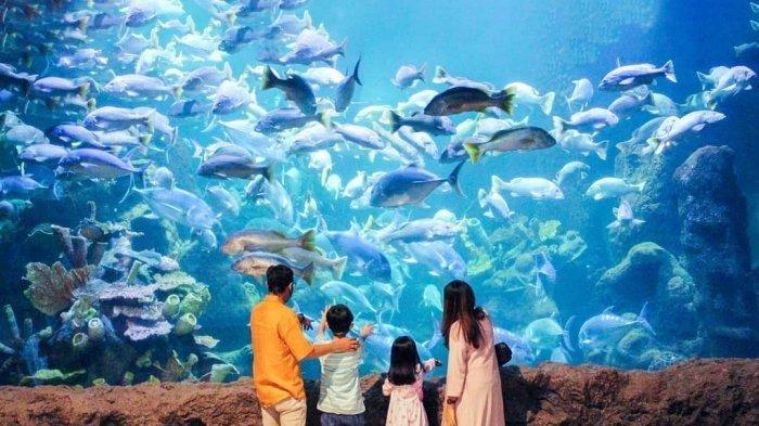 Sea World Ancol - TribunnewsWiki.com