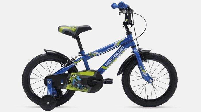 Pilihan Sepeda Anak Polygon, Seri Crosser dan Alice Harga 1 Jutaan ...
