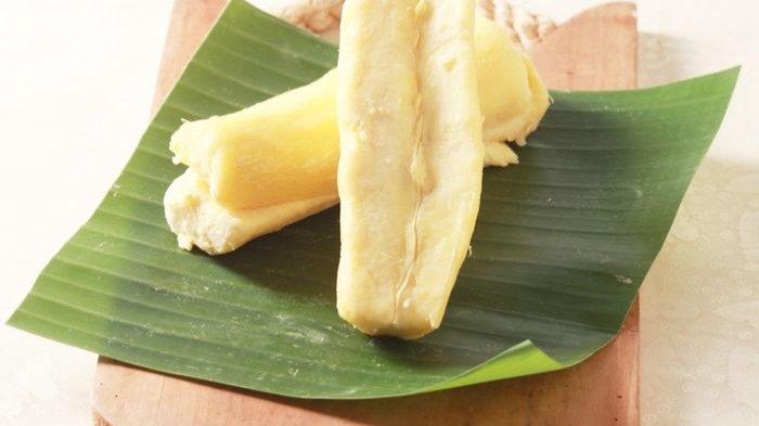 Tapai - TribunnewsWiki.com