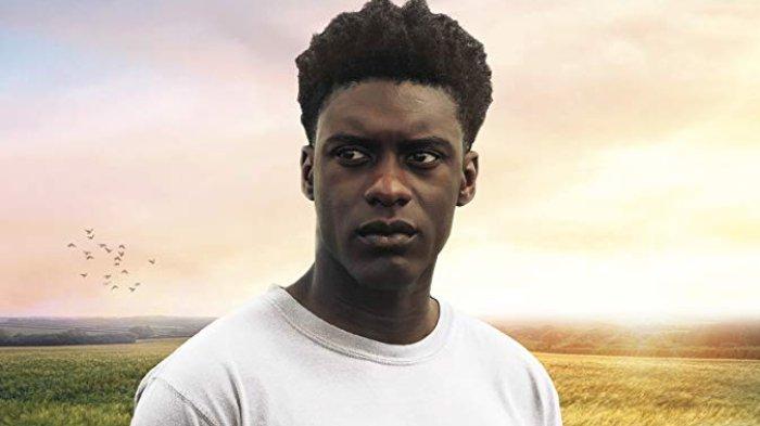 FILM - The Last Tree (2019) - TribunnewsWiki.com