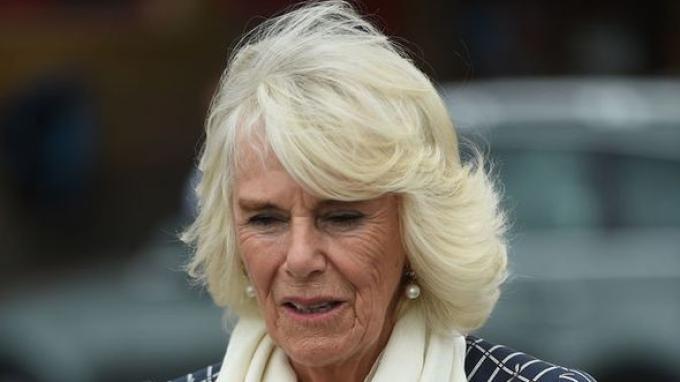 Sosok Camilla Bowles, Istri Raja Charles III yang Dibenci Karena ...