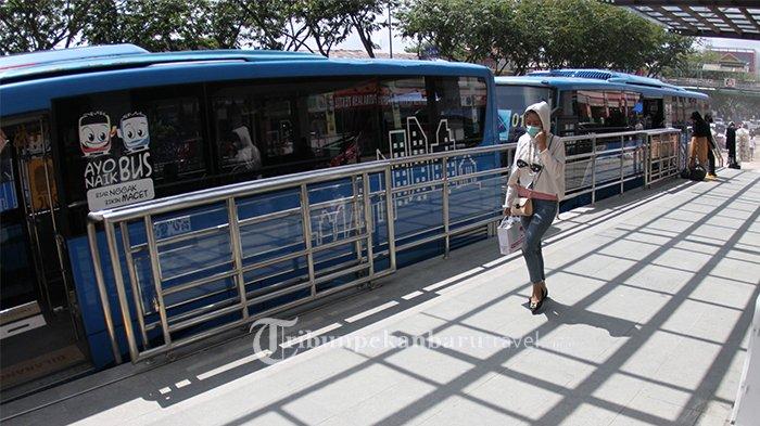 Layanan Bus TMP Gratis Selama Tiga Hari dalam Rangka HUT Pekanbaru ...