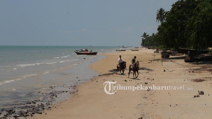 Investor Asal China Tertarik Bangun Jembatan Terpanjang di Indonesia di ...