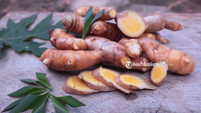 Manfaat Kunyit Putih Bagi Kesehatan Tubuh - TribunPekanbaru Wiki
