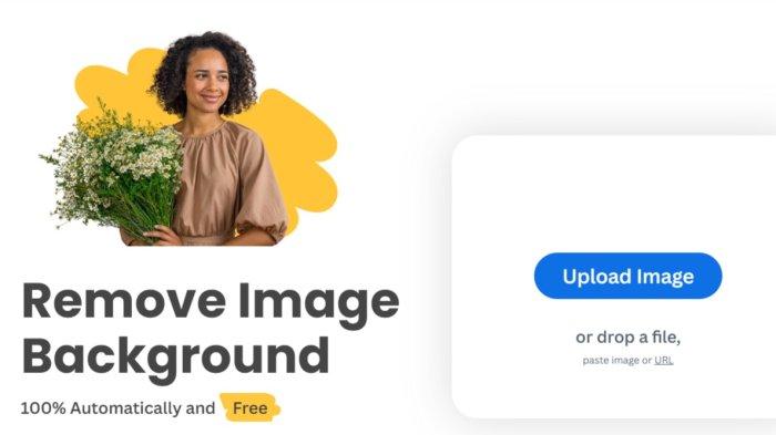 5 Cara Ganti Background Foto Online Dengan Mudah dan Cepat - TribunSolo Wiki