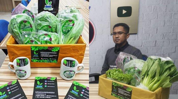 Cari Sayuran Higienis? Pesan di Greentop Farm, UMKM Hidroponik ...