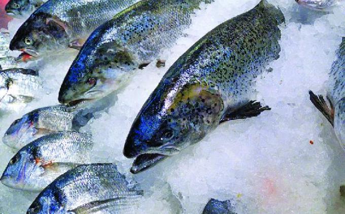 Memasak Ikan Beku Agar Tetap Segar - Wartakotalive.com