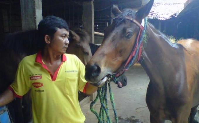 Ini Dia Sang Kusir Kereta Kencana Jokowi dan JK - Wartakotalive.com