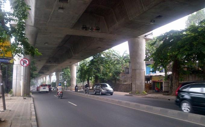 Semua Tiang Jalan Layang Antasari Akan Ditanam Pohon Merambat ...