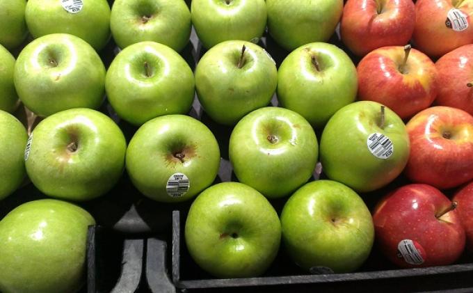 Semua Apel Impor Diuji Laboratorium - Wartakotalive.com