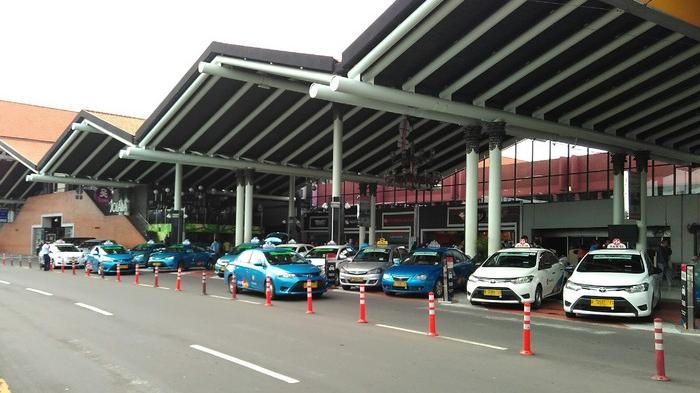 Blue Bird Diburu Penumpang di Bandara Soekarno Hatta - Wartakotalive.com