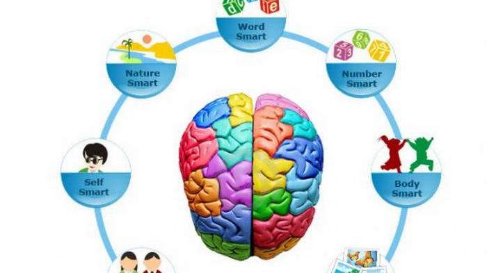 4 Kecerdasan yang Wajib Diketahui Selain IQ dan EQ - Wartakotalive.com