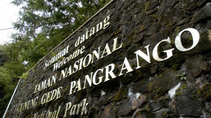 Wisata Gunung Gede Pangrango: Surga Tersembunyi di Cianjur - Wiskul Pedia