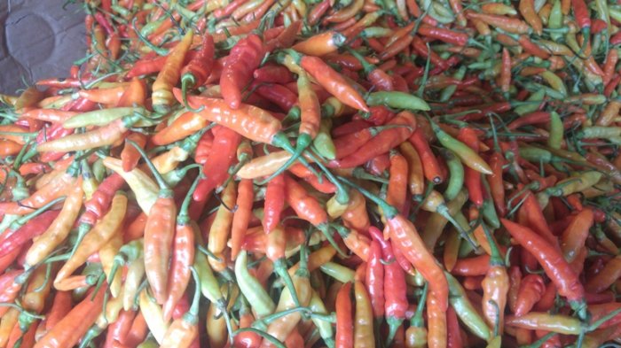 Inilah Penyebab Kenaikan Harga Cabai Rawit Merah - Wartakotalive.com