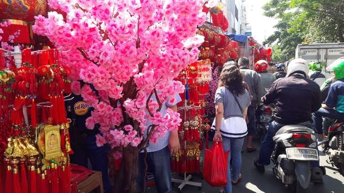 Bunga Mei Hwa Ukuran Kecil Dibandrol Rp100 Ribu di Pasar Glodok ...