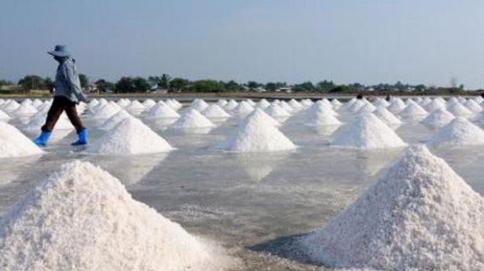 Cara Mengenali Garam Mengandung Beriodium Atau Tidak - Wartakotalive.com