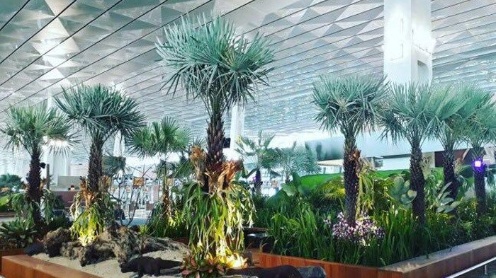 Terminal 3 Bandara Soetta Makin Cantik dengan Taman di Ruang Tunggu ...