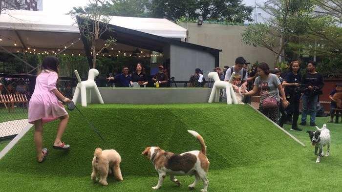 Dog Lovers! Ada PAWS di Mal Kelapa Gading - Wartakotalive.com