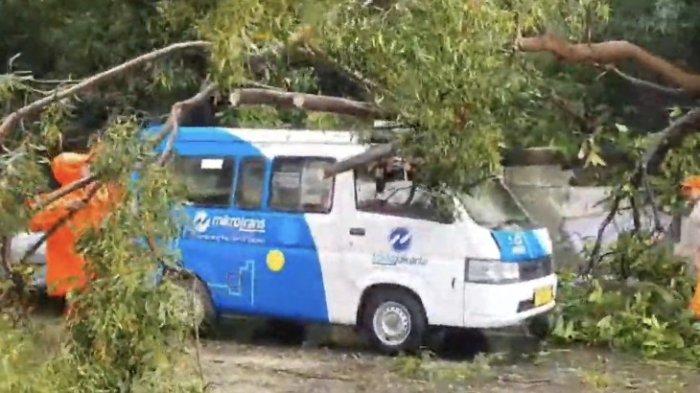 Angkot JakLinko Tertimpa Pohon Tumbang di Cakung, Sopir Terjebak di ...