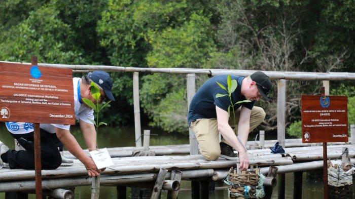 Mitigasi Bencana, Badan Informasi Geospasial bersama UN-GGCE Tanam ...