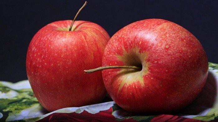Segudang Manfaat Kulit Apel, Bisa Bikin Mata Sehat - Tribuntoraja.com