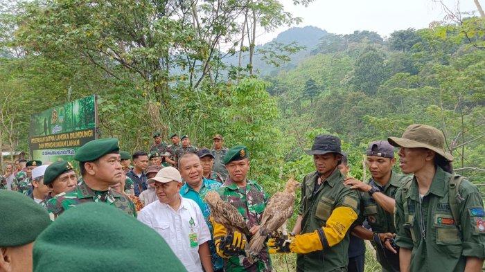 Burung Garuda Kembali Terlihat di Langit Pegunungan Sanggabuana ...