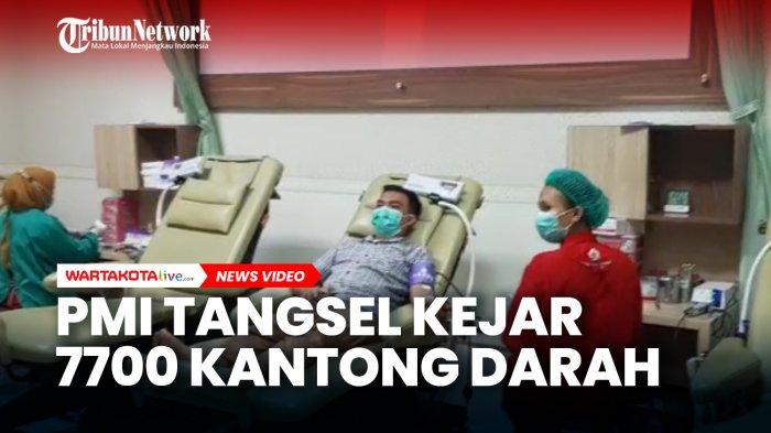 VIDEO HUT RI, PMI Kota Tangsel Giat Penyediaan 7.700 Kantong Darah - Wartakotalive.com