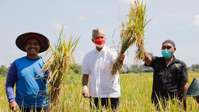 Kementerian Pertanian Alokasi 1,1 Juta Ton Pupuk Subsidi Bagi Jawa ...