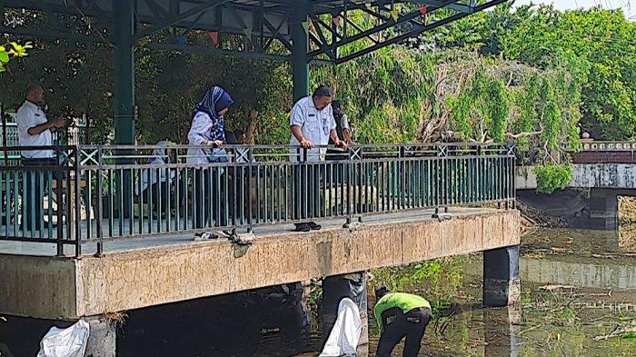 Sempat Tak Terawat, Kini Sudin Pertamanan Langsung Benahi Hutan Kota ...