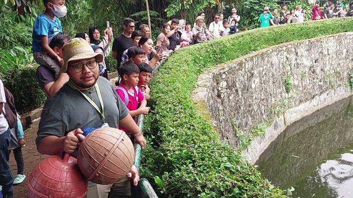 Tak Pulang saat Libur Natal Demi Jaga Hewan Buas, Ini Kisah Zoo Keeper ...