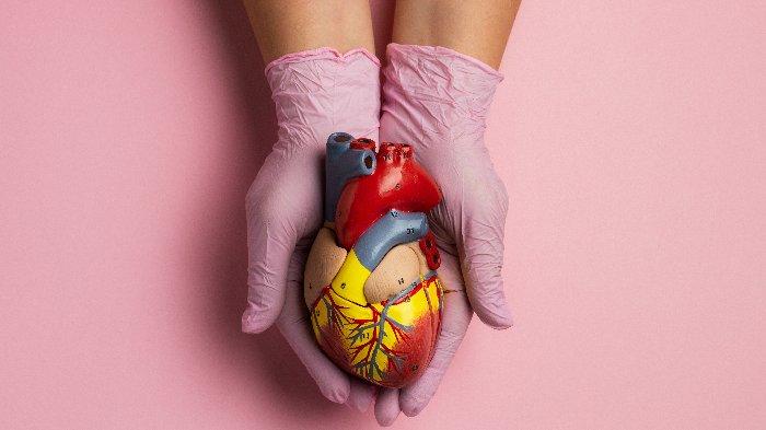 Doktor FKUI Temukan Teknik Baru dalam Operasi Kebocoran Katup Jantung ... Doktor FKUI Temukan Teknik Baru dalam Operasi Kebocoran Katup Jantung ...