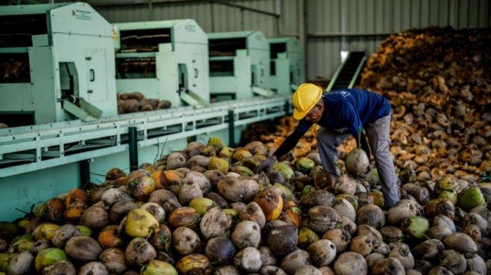 Operasikan Dua Pabrik Pengolahan Kelapa, JHL Group Libatkan Para Petani ...
