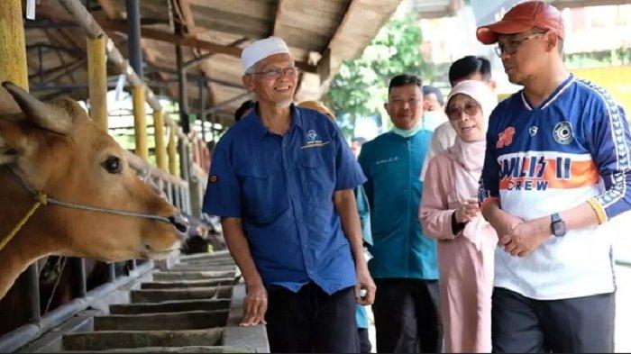 Nilai Transaksi Penjualan Hewan Kurban di Depok Capai Rp 286 Miliar pada Iduladha 2024 ...