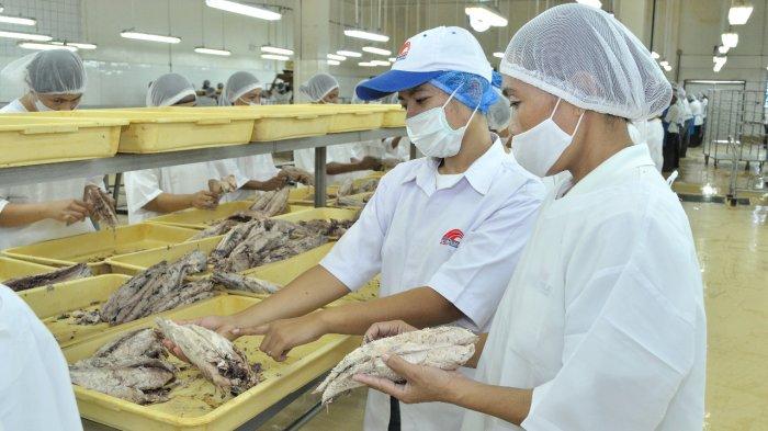 Industri Pengolahan Perikanan Siap Kembangkan Potensi Pasar Ekspor dan ...