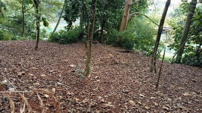 Dijual Sebidang Tanah di Kawasan Parung Bogor, Luas Tanah 1.208 M2 ...