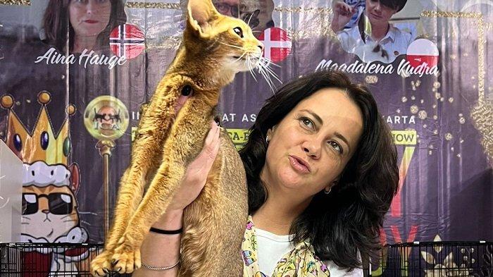 188 Ekor Kucing Berbagai Ras Ikuti Lomba International Cat Show di ...