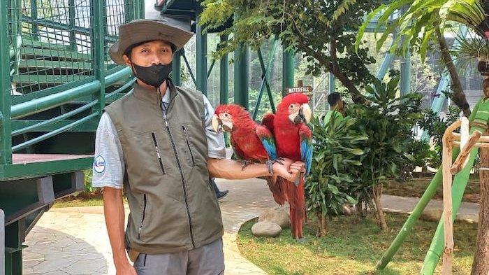 LOCAL EXPERIENCE : Serunya Interaksi Langsung dan Berfoto Bersama ...