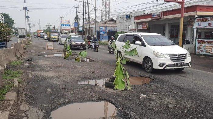 Jalan Nasional Pantura Karawang Rusak Parah dan Tak Kunjung Diperbaiki, Warga Tanam Pohon Pisang ...