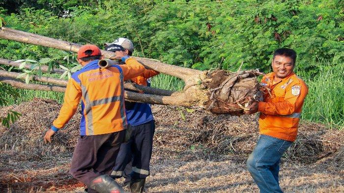 Dukung Program Tanam Sejuta Pohon, KAI Daop 1 Jakarta Tanam Ratusan ...