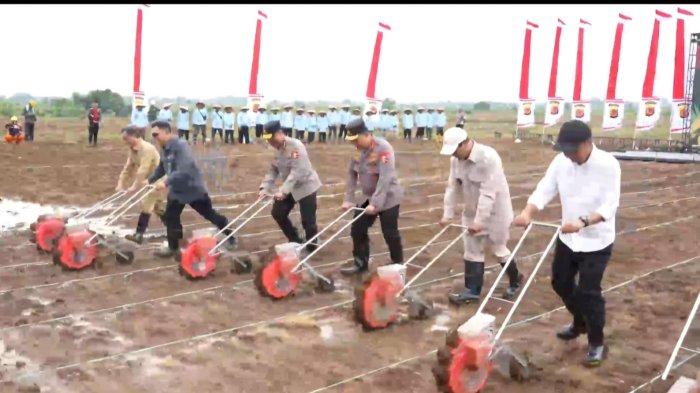 Wujudkan Swasembada Pangan 2025, Kapolri dan Mentan Mulai Program Tanam Jagung 1 Juta Hektar ...