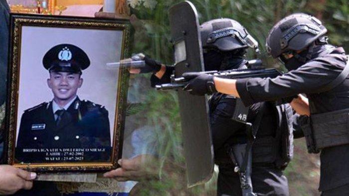 Usut Senpi Rakitan yang Tewaskan Bripda Ignatius, Polisi Konfrontir ...